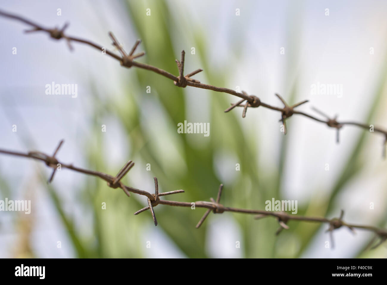 rusty barbed wire Stock Photo - Alamy