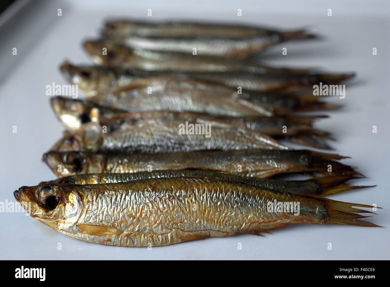 Riga sprouts hi-res stock photography and images - Alamy