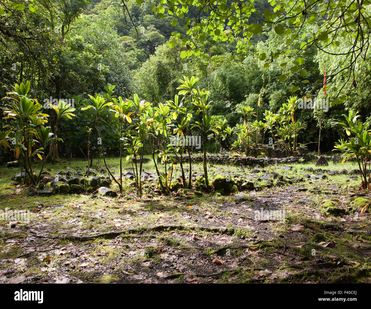 Pagan gods hi-res stock photography and images - Alamy
