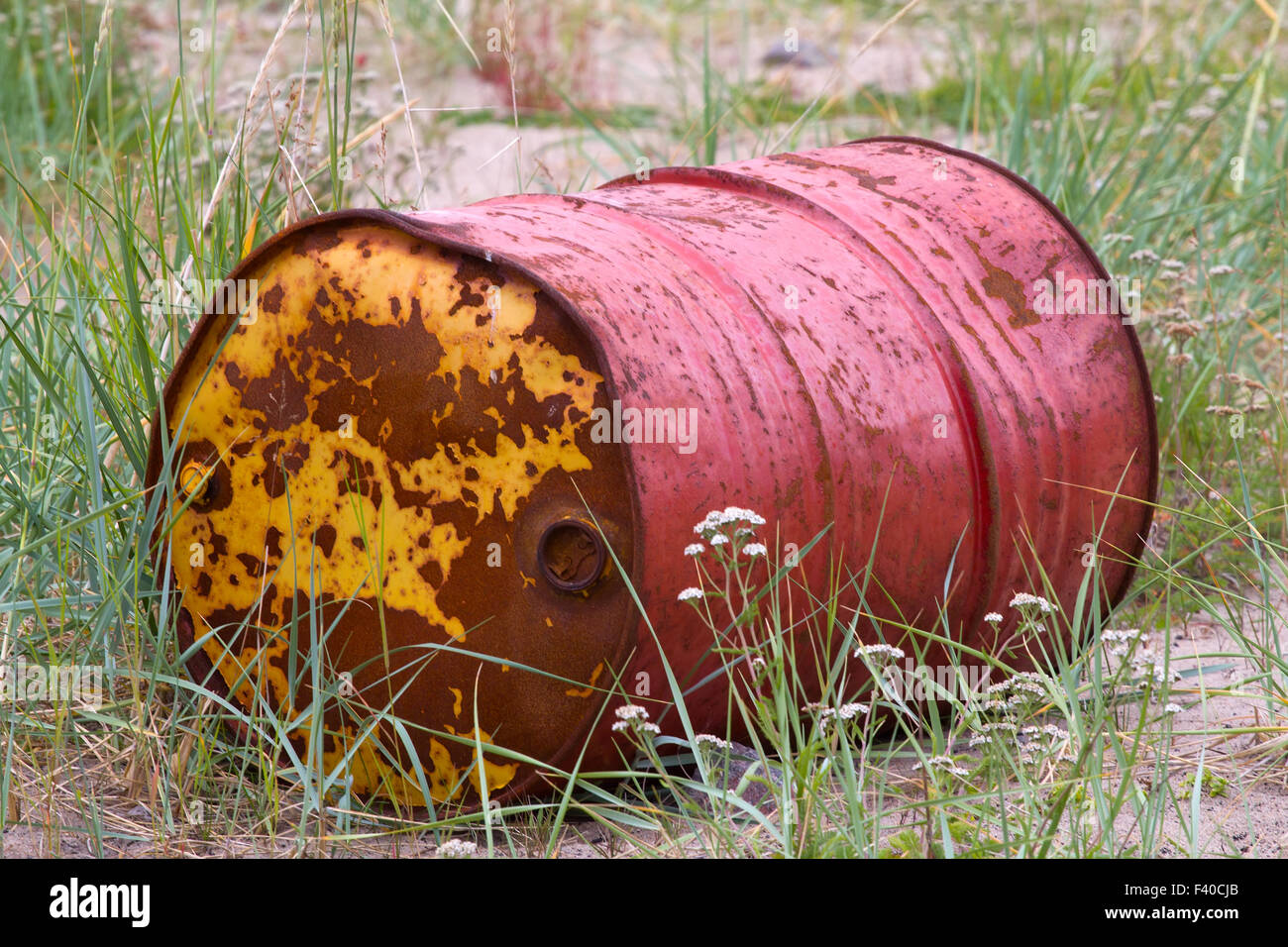 rusty old barrel in a grass Stock Photo - Alamy