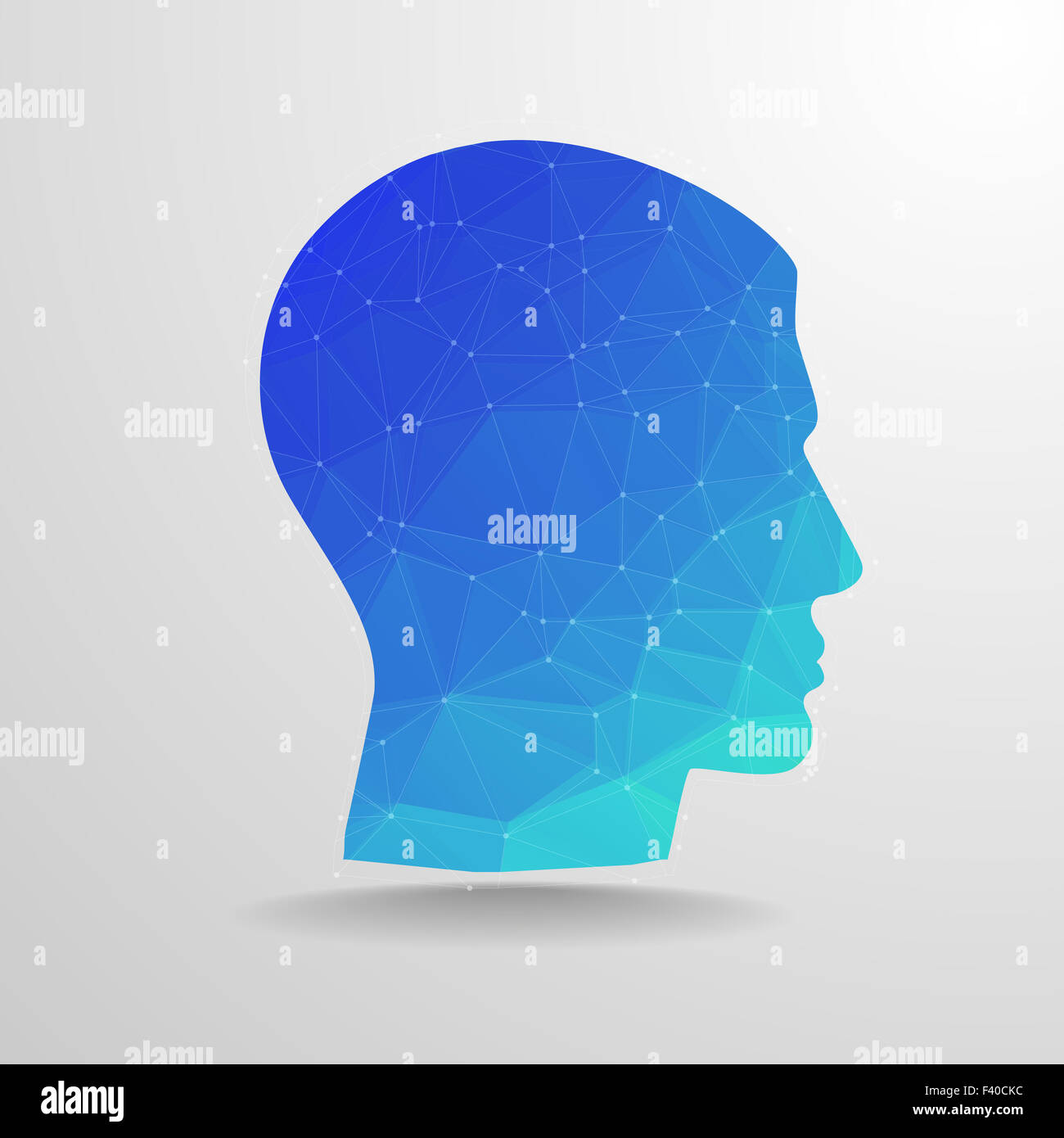 Polygon data hi-res stock photography and images - Alamy