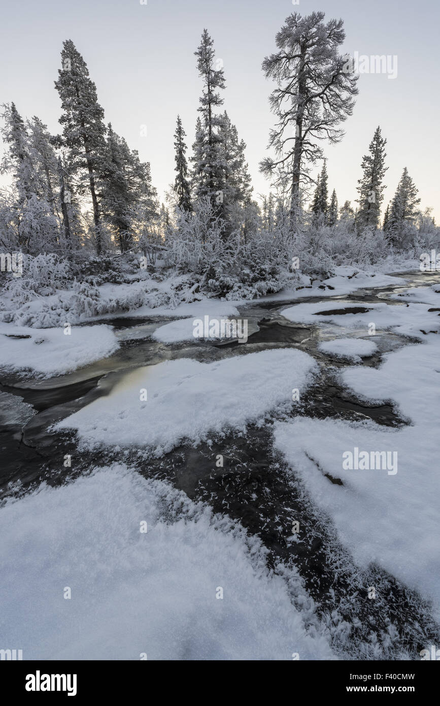 freezing brook, Lapland, Sweden Stock Photo - Alamy