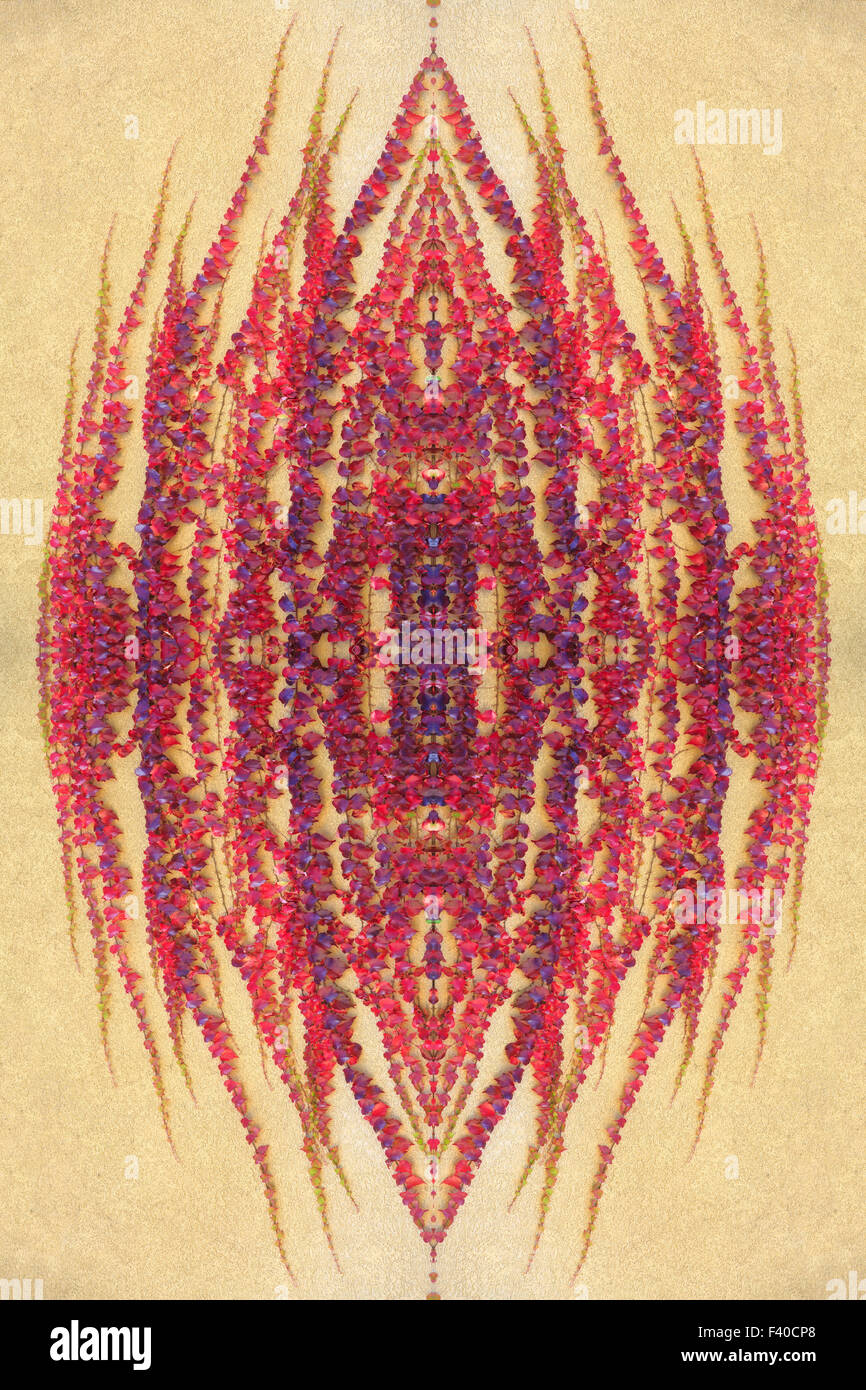 Vine pattern hi-res stock photography and images - Alamy