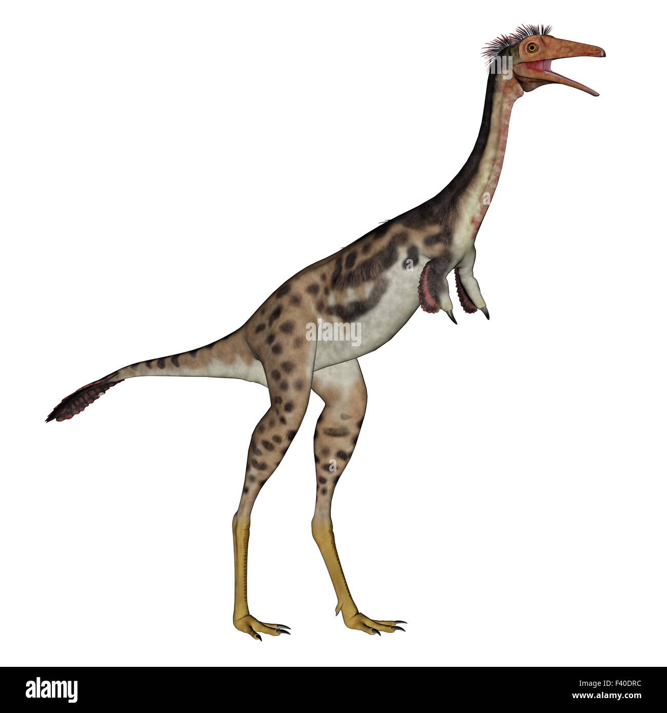 Dinosaur standing hi-res stock photography and images - Alamy