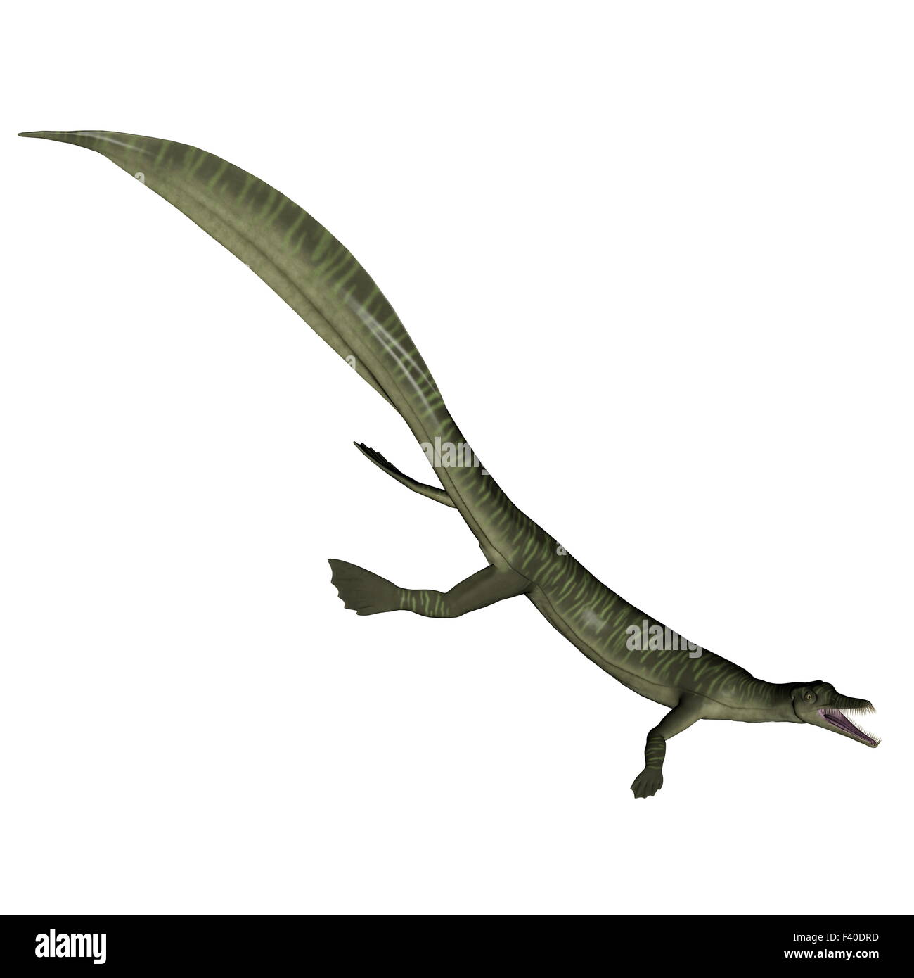 Mesosaurus hi-res stock photography and images - Alamy