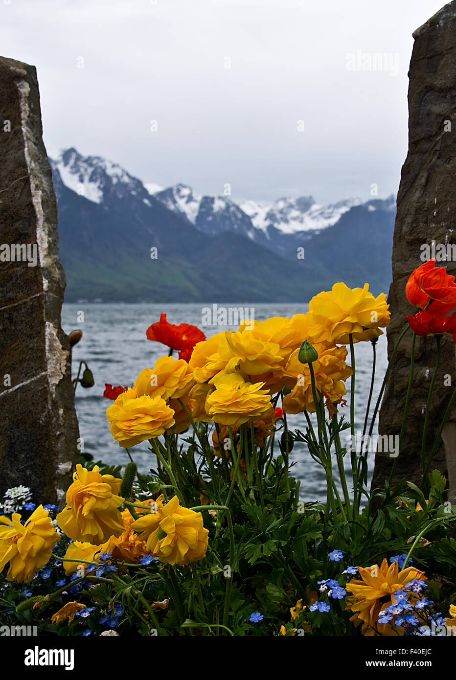 Symmetrie blume hi-res stock photography and images - Alamy