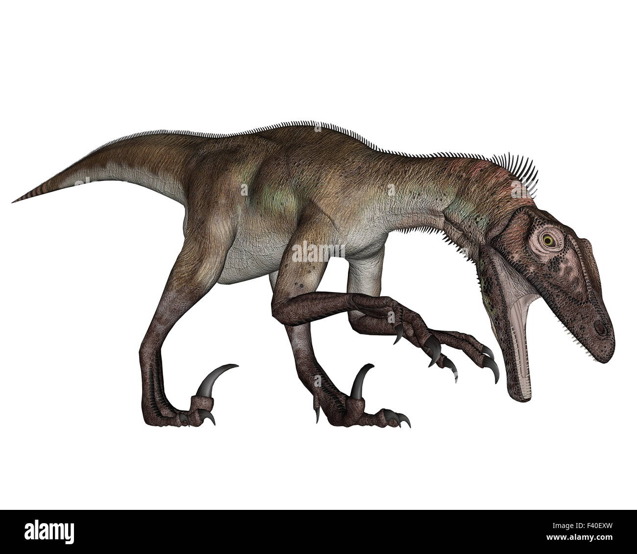 Utahraptor Dinosaur Last Sightings
