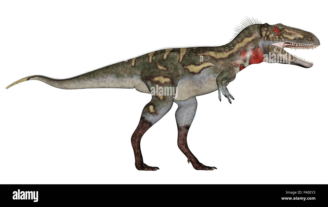 Nanotyrannus dinosaur walking - 3D render Stock Photo - Alamy