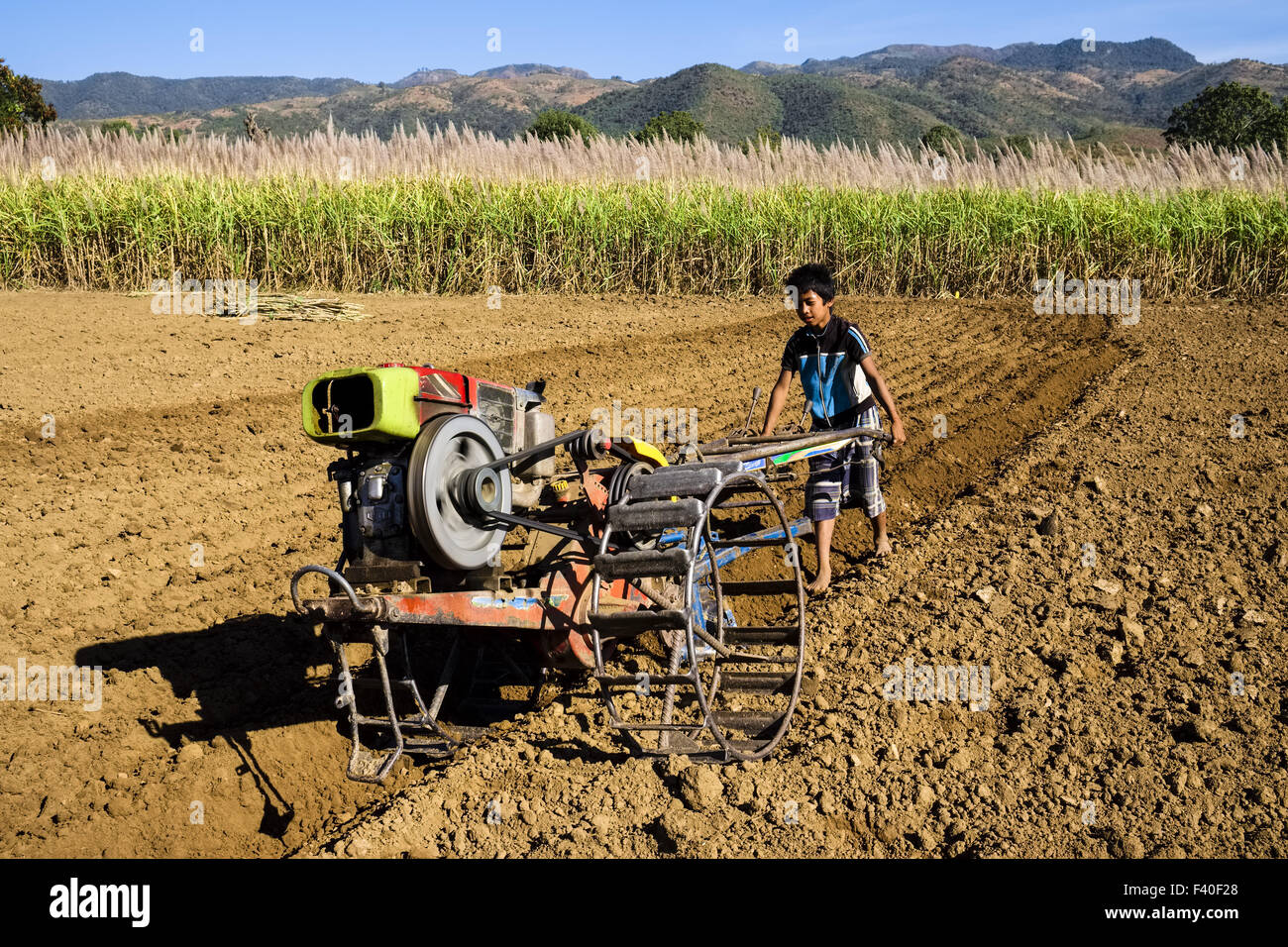 Boy with two-wheel tractor, Myanmar Stock Photo - Alamy