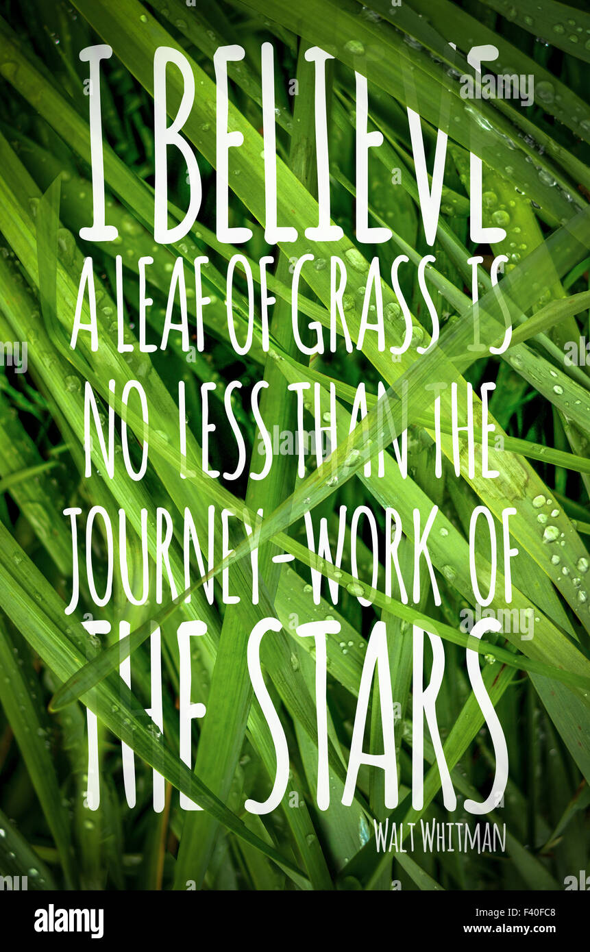 Walt Whitman Quote Poster With Grass Stock Photo - Alamy