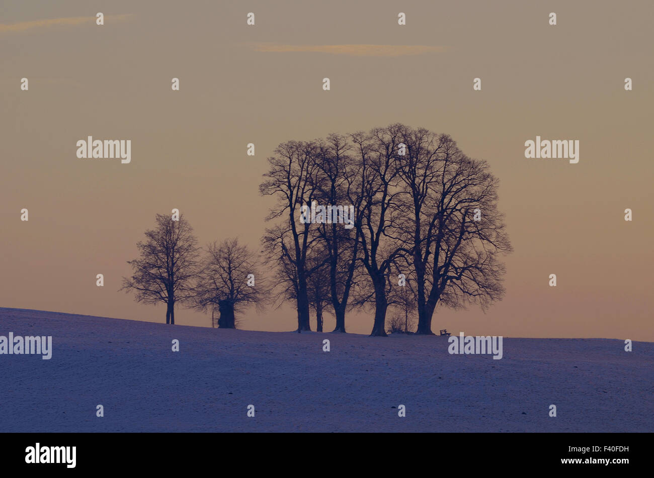 Sunrise with trees hi-res stock photography and images - Alamy