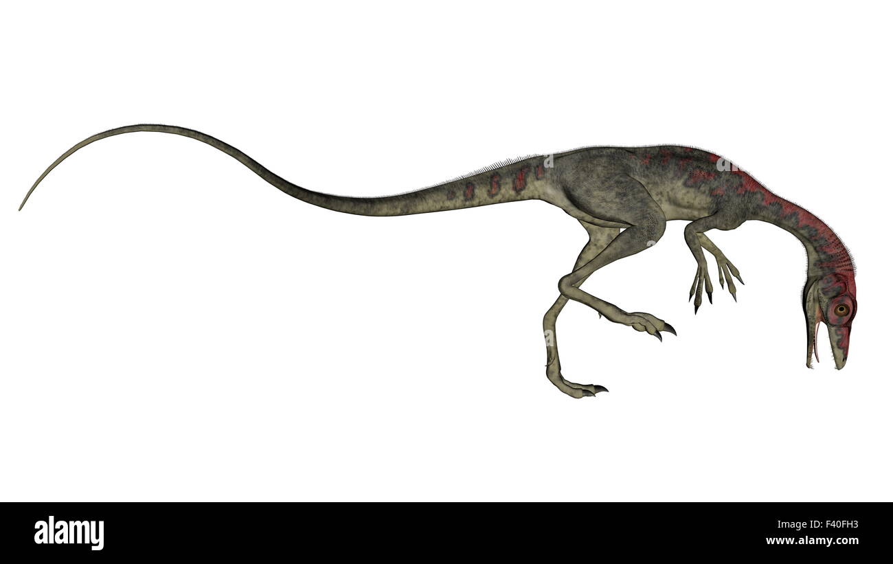 Compsognathus Dinosaur High Resolution Stock Photography and Images - Alamy