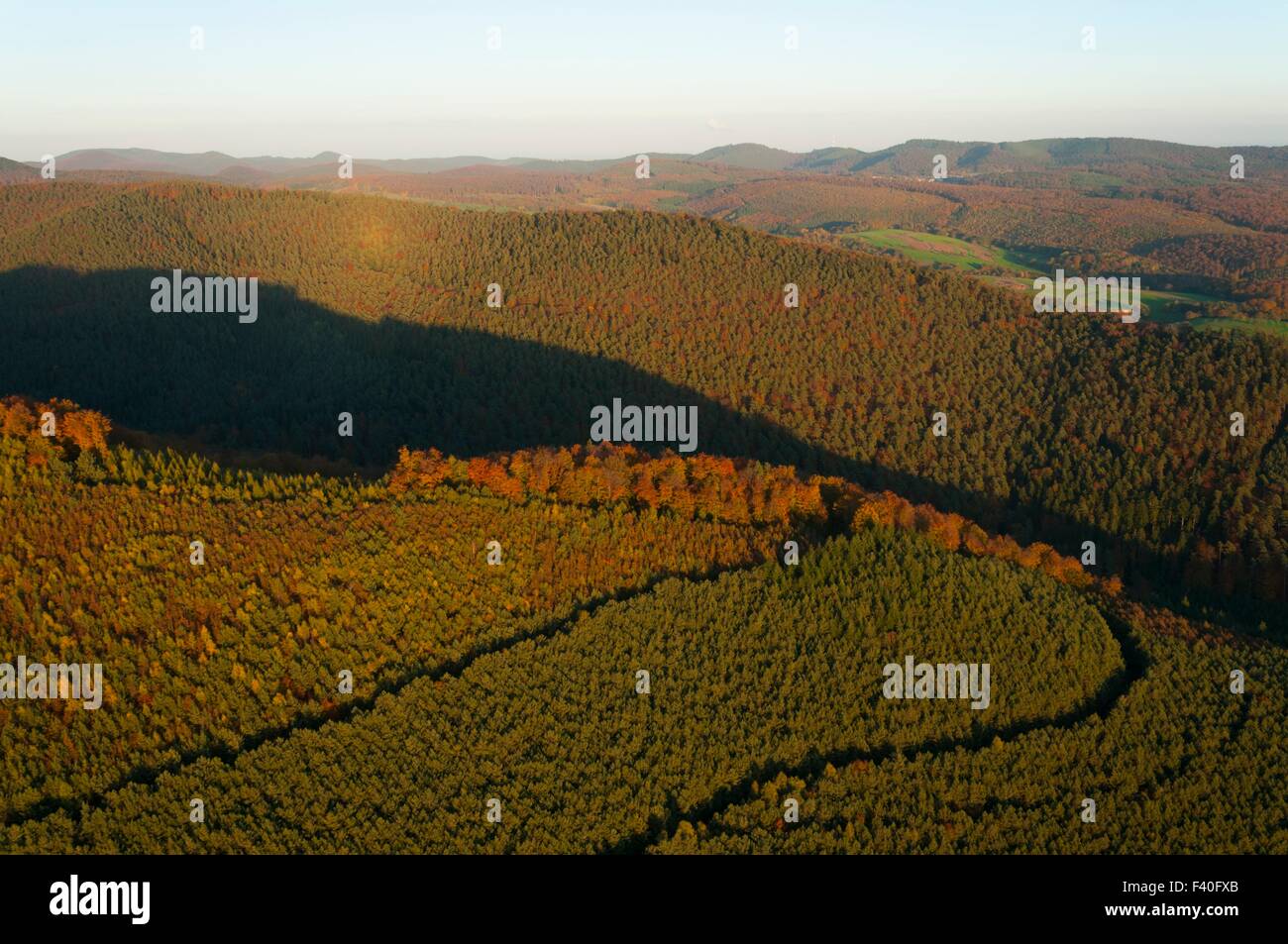 France, Bas Rhin (67), Natural regional park of northern Vosges, Wingen ...