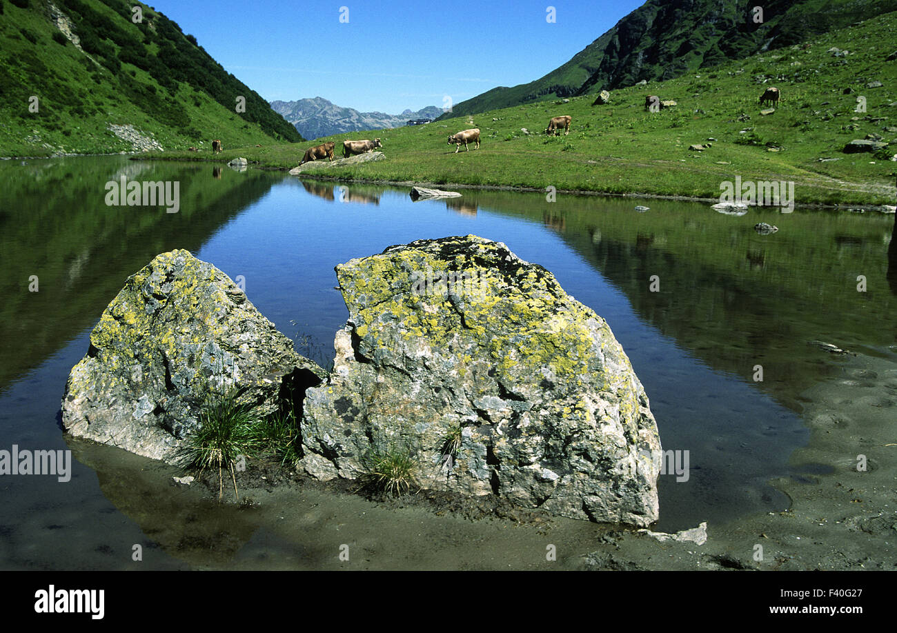 alps; landscape; Austria; alpine lake Stock Photo - Alamy