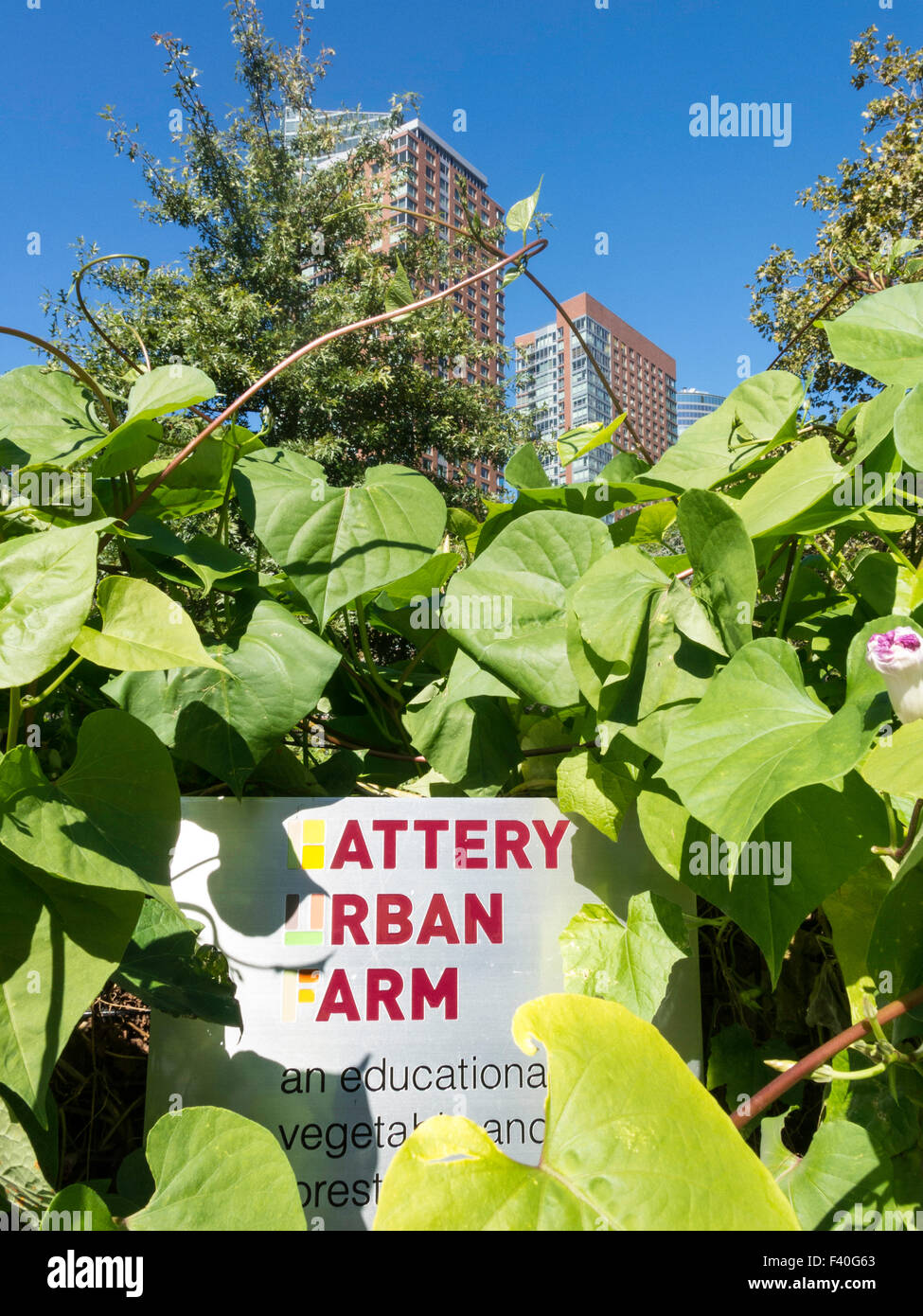 Park farm sign hi-res stock photography and images - Alamy