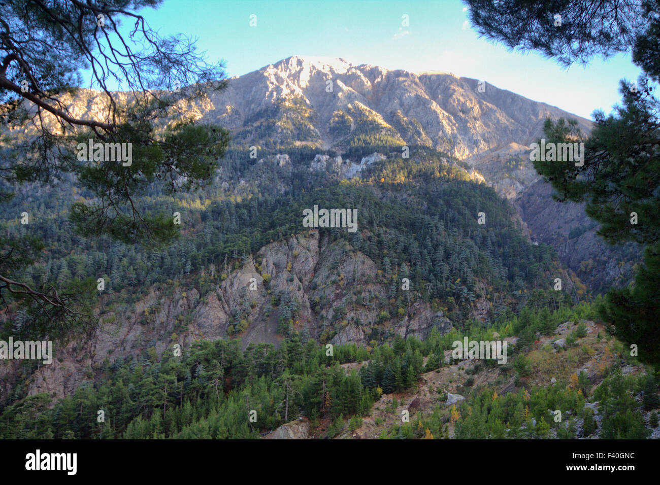 soothing mountain summer wonderful view Stock Photo - Alamy