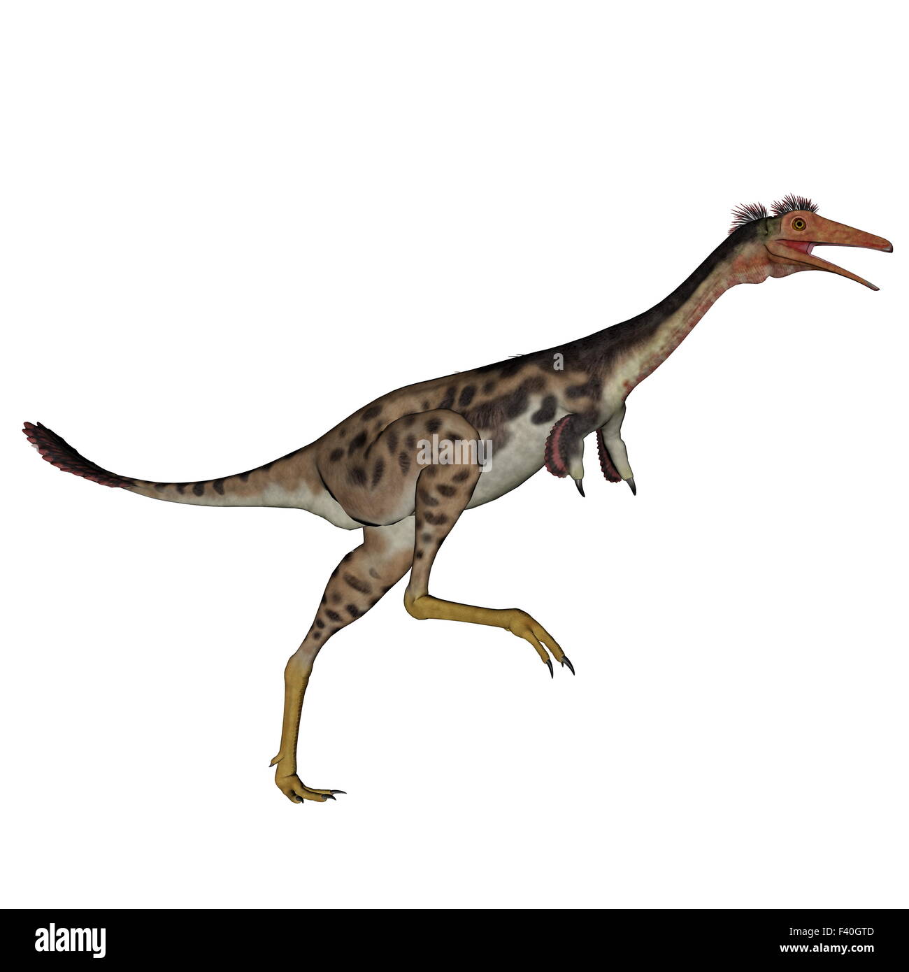 Mononykus dinosaur walking - 3D render Stock Photo - Alamy