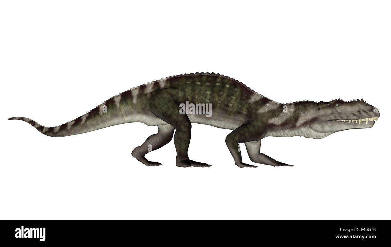 Prestosuchus dinosaur walking - 3D render Stock Photo - Alamy