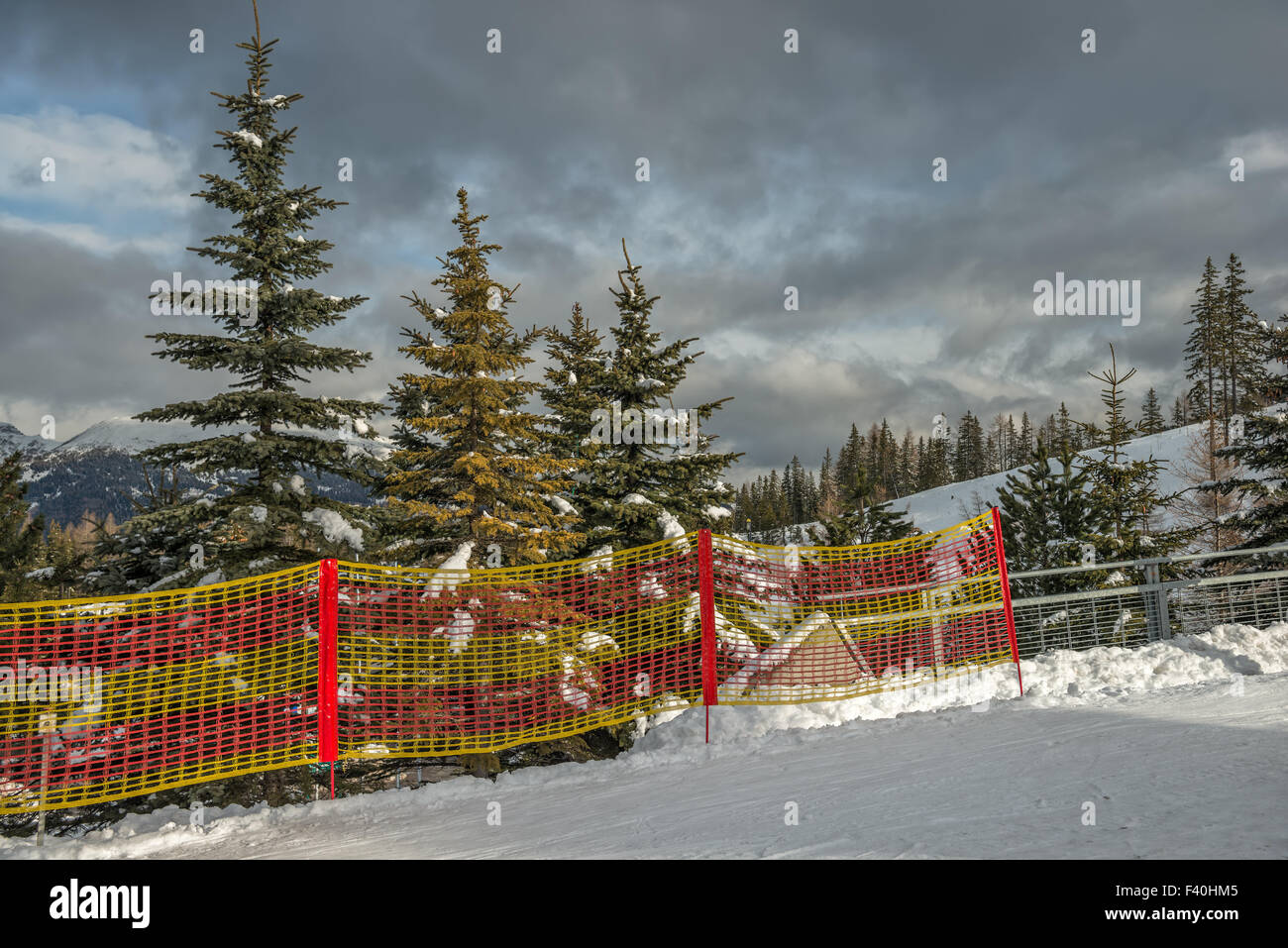 Ski-track in mountain forest Stock Photo - Alamy
