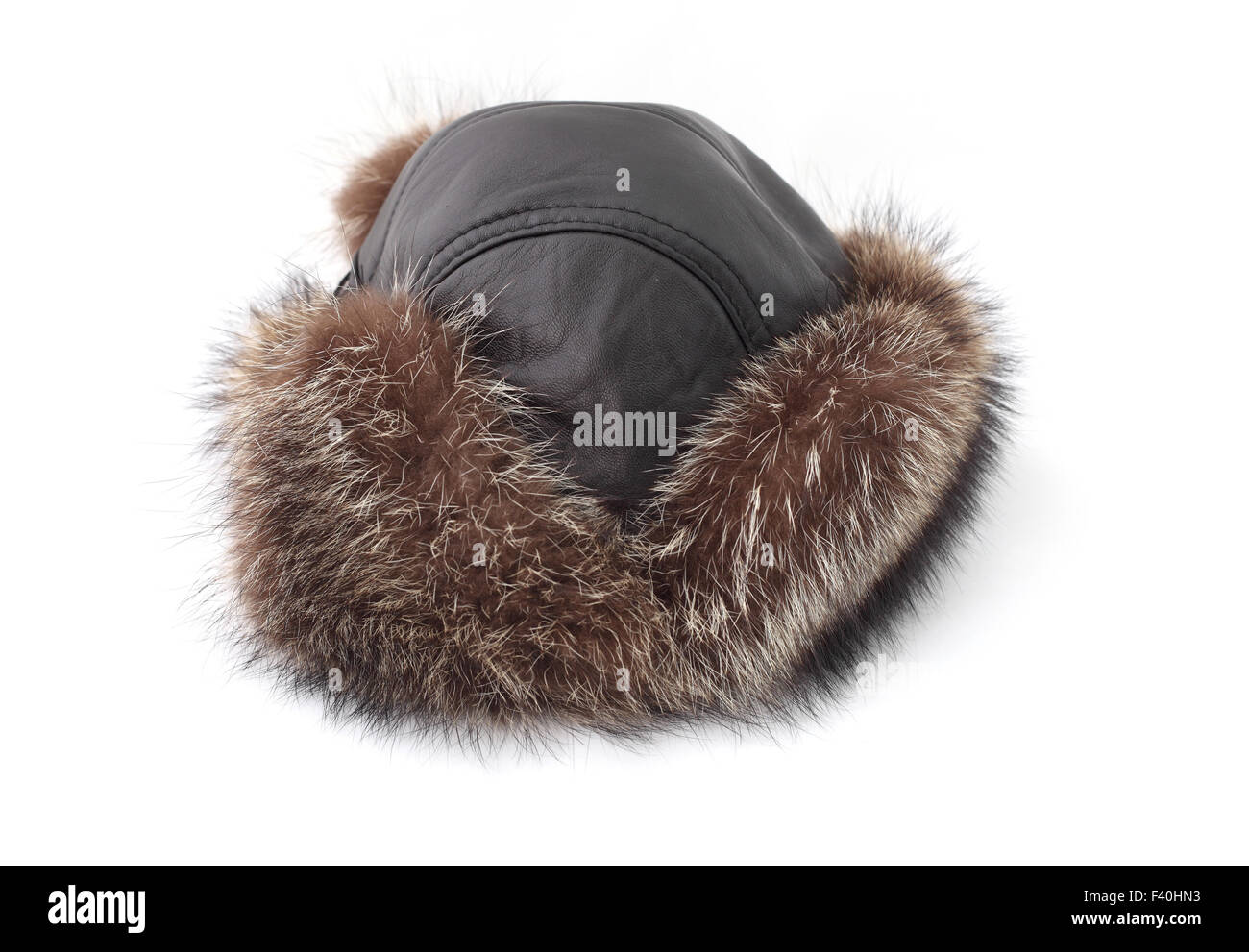 Healthy fur hi-res stock photography and images - Alamy