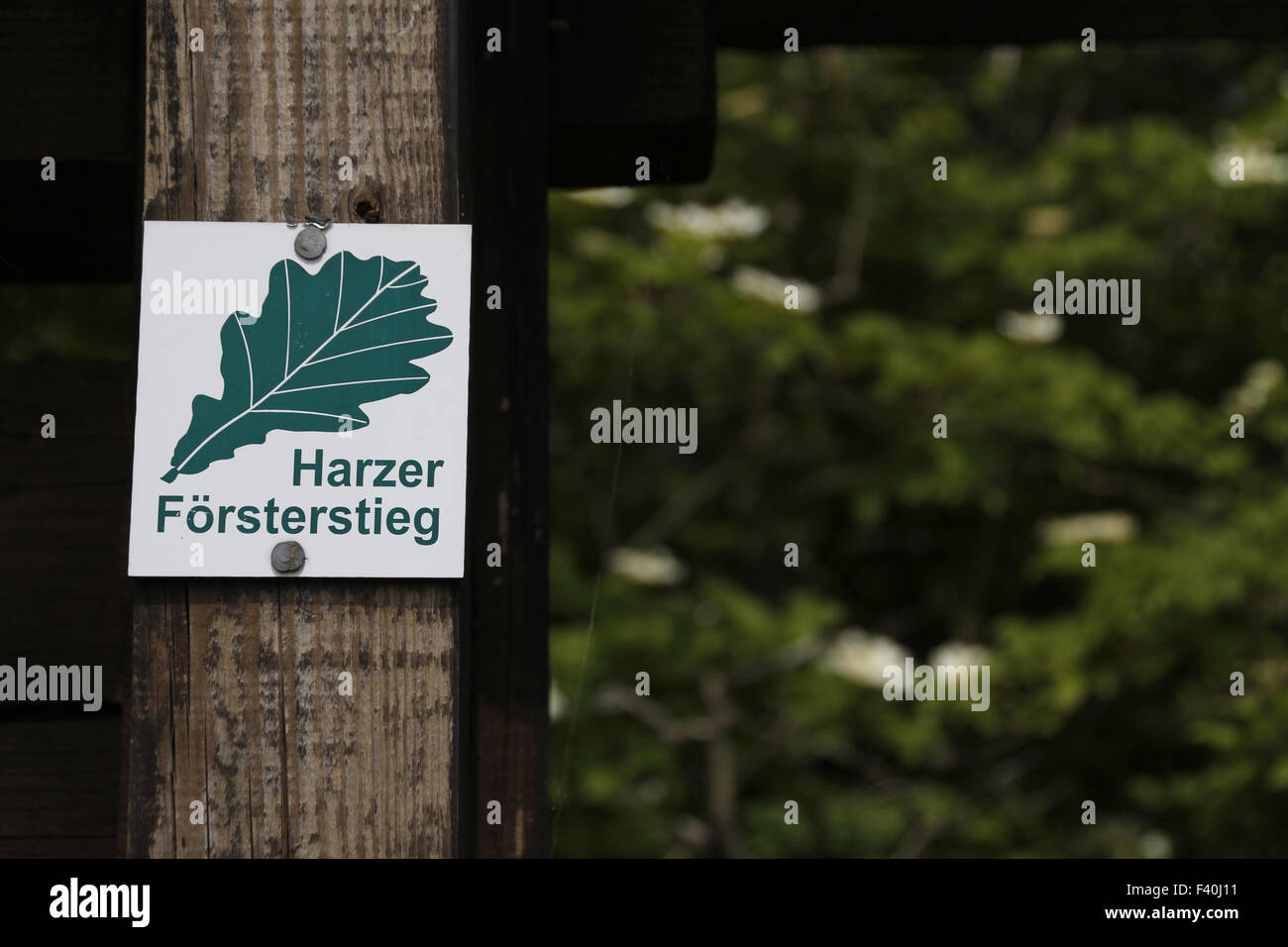 Harzer forsterstieg hi-res stock photography and images - Alamy