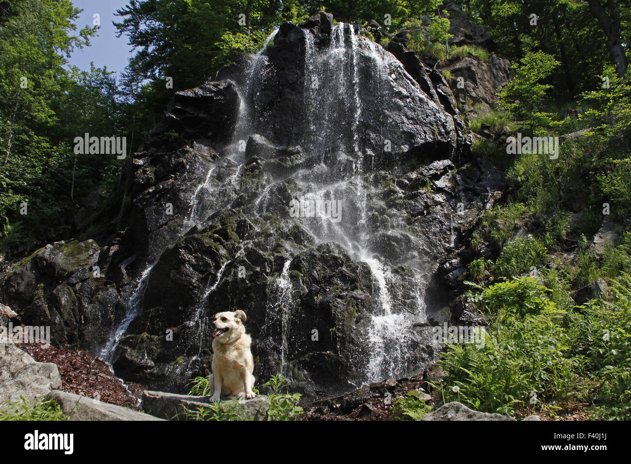 Radau wasserfall hi-res stock photography and images - Alamy