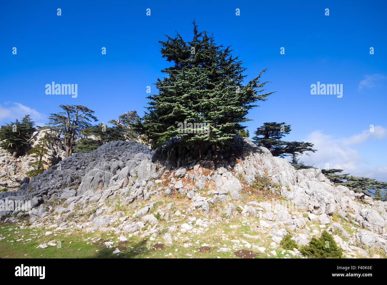 Soothing relaxation hi-res stock photography and images - Alamy