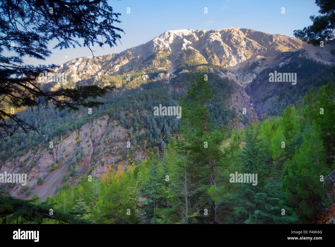 soothing mountain summer wonderful view Stock Photo - Alamy