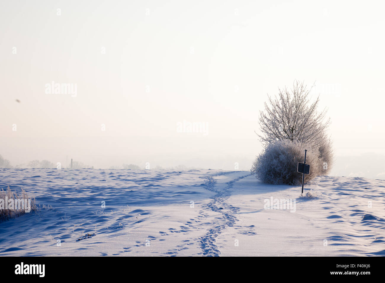 Snow field evening hi-res stock photography and images - Alamy