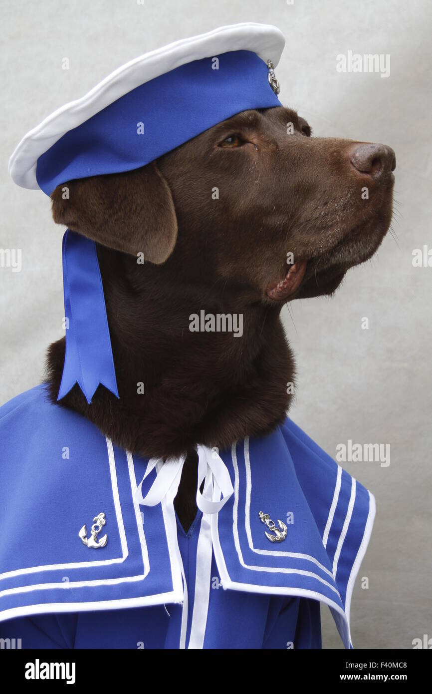 Seaman dog hi-res stock photography and images - Alamy