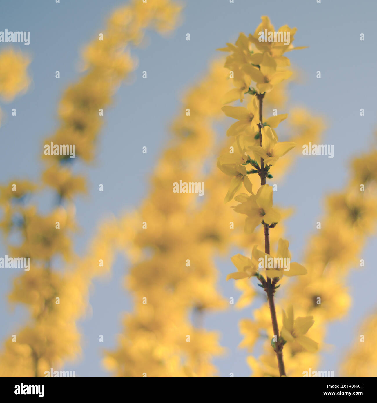 Yellow filter hi-res stock photography and images - Alamy