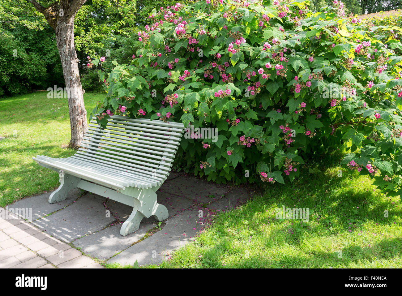 Lone bench in summer park Stock Photo - Alamy
