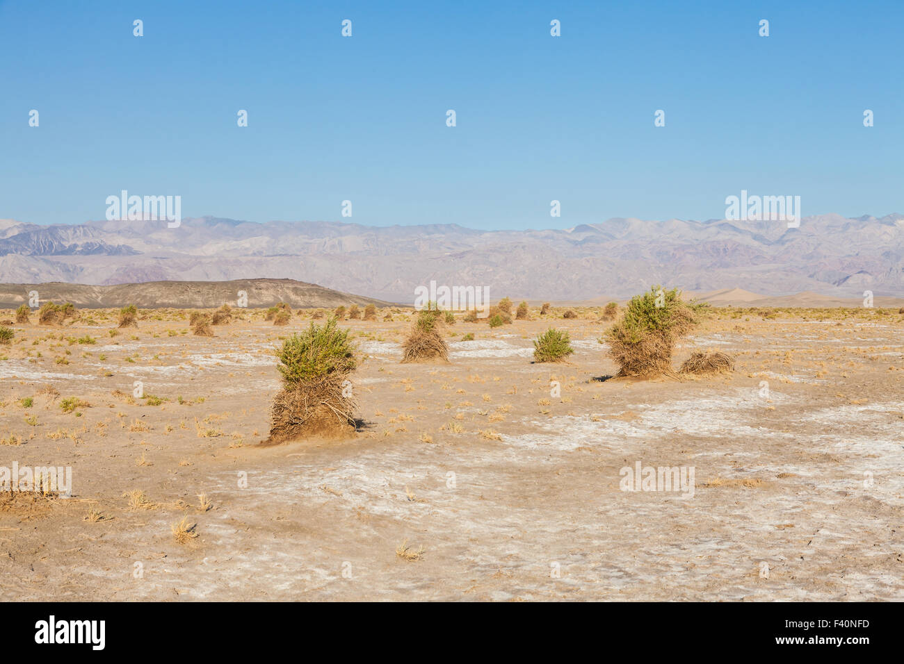 Death valley scenics hi-res stock photography and images - Alamy