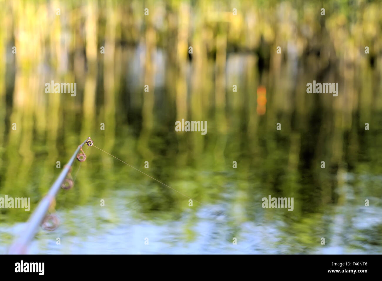 What Type Of Fishing Rod For River Fishing at Holly Stine blog