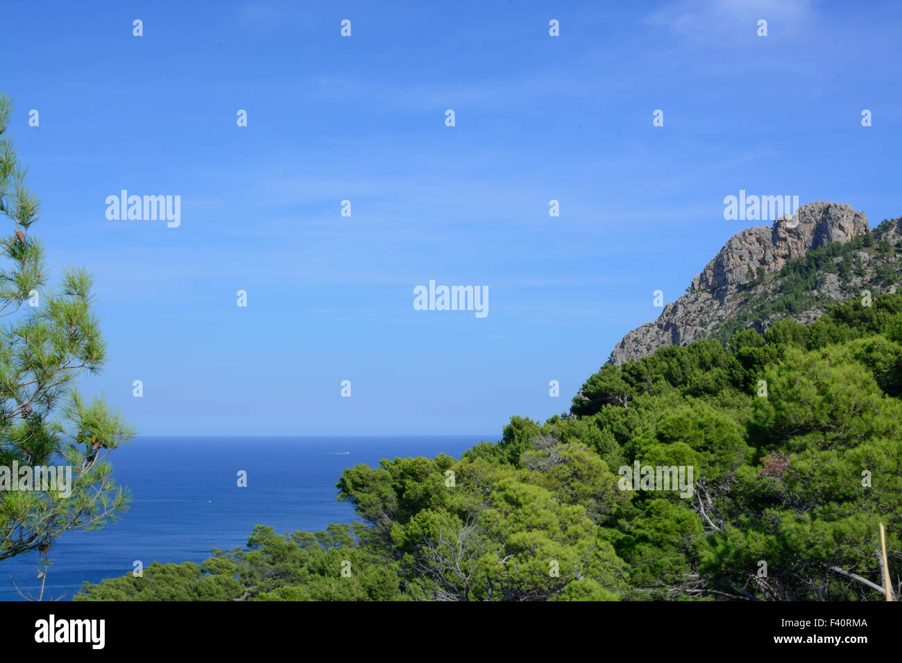 Forest, mountain top and ocean landscape Stock Photo - Alamy