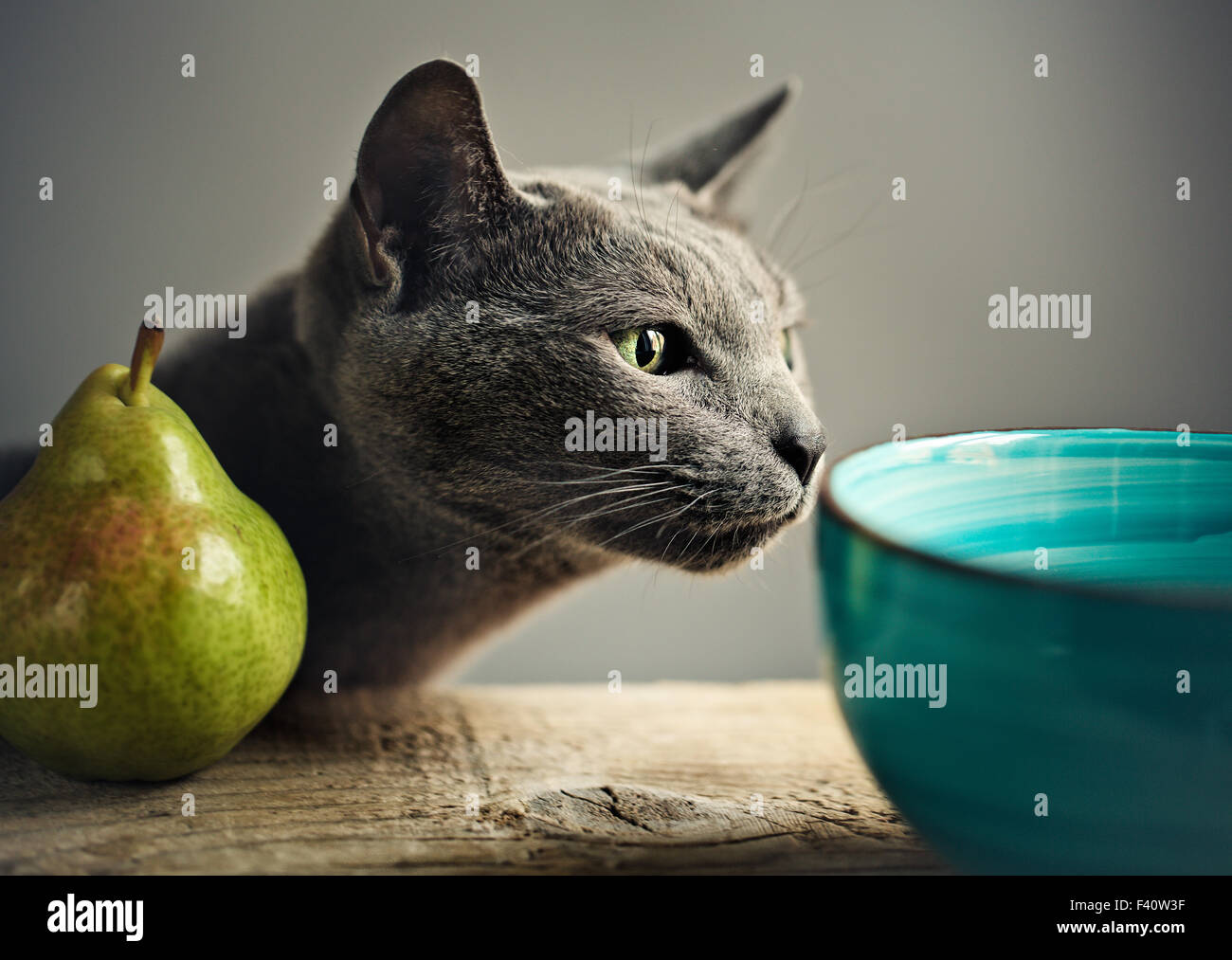 Cat and Pears Stock Photo - Alamy