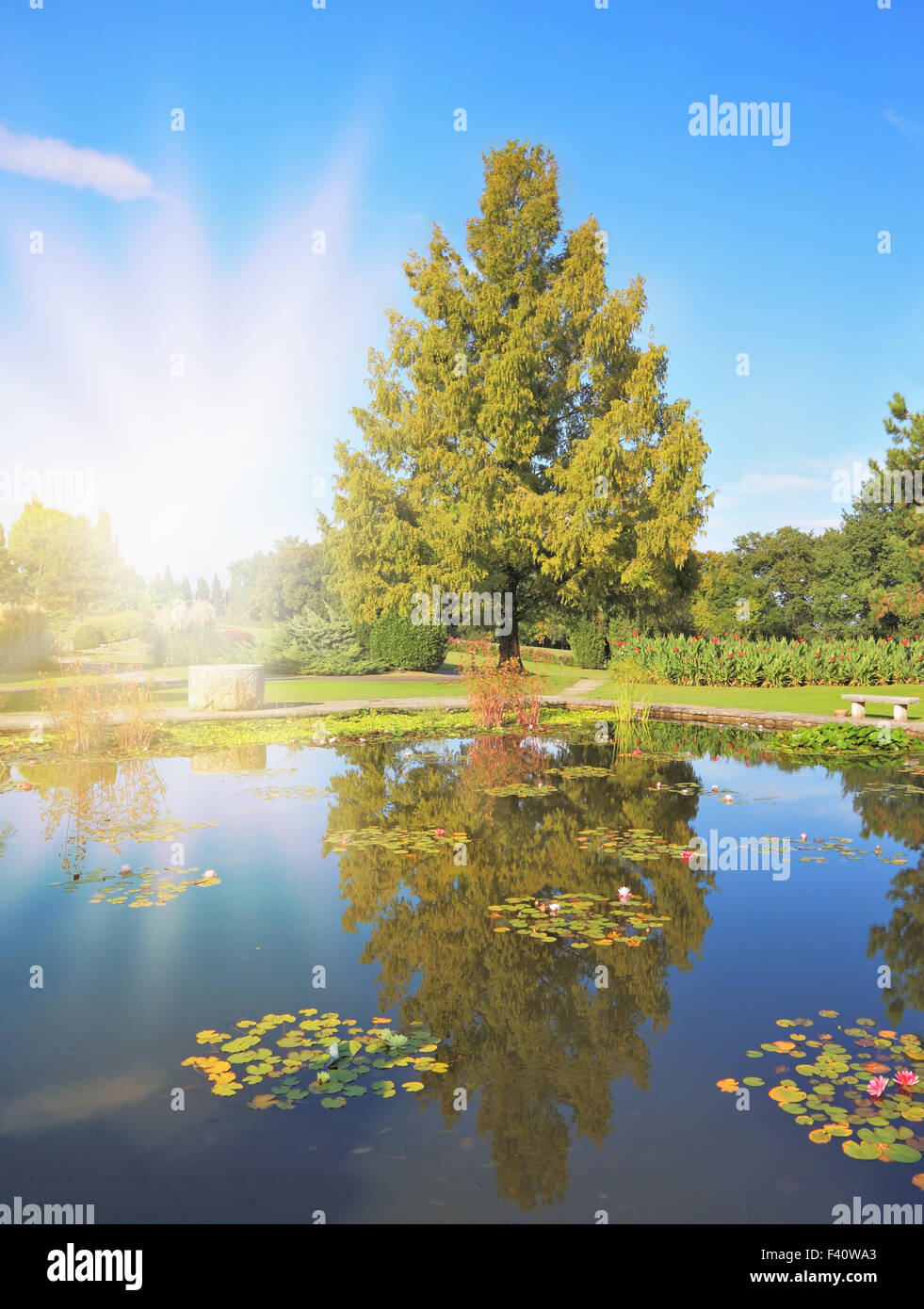 Rays of the sun hi-res stock photography and images - Alamy