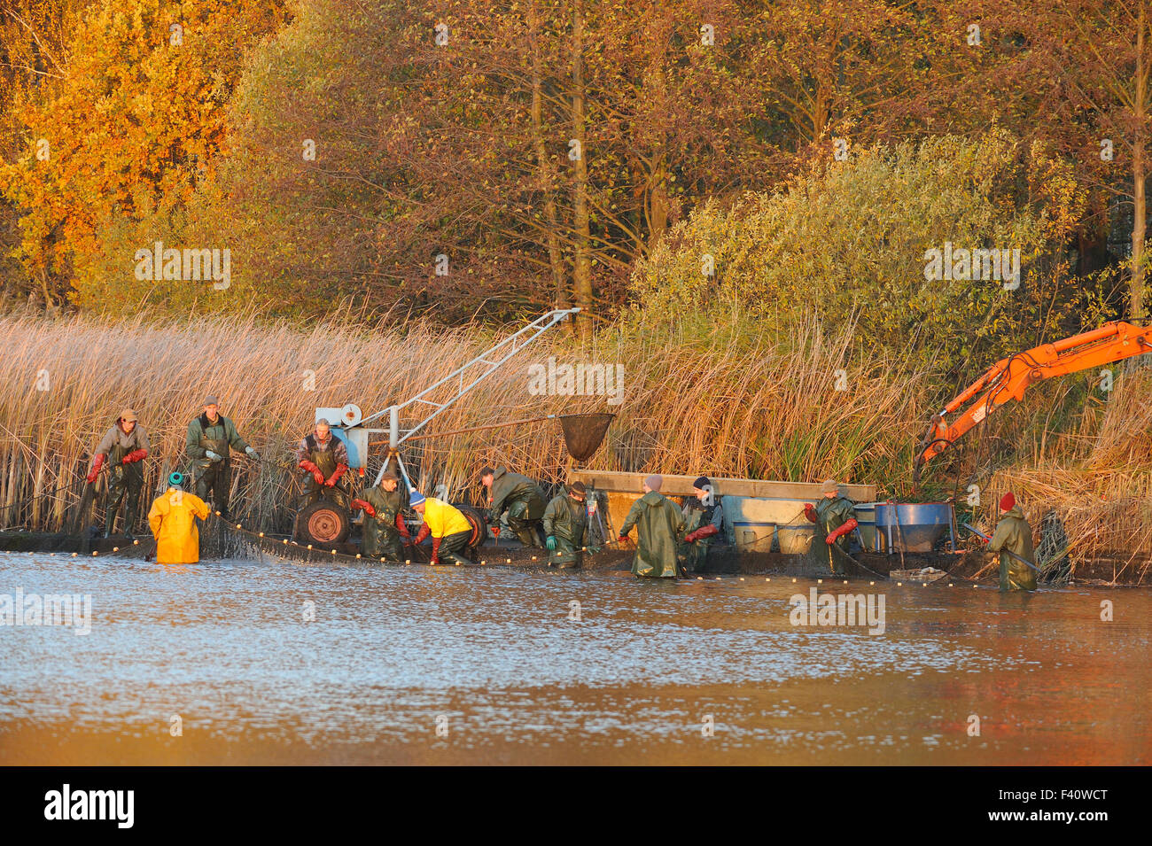 Fall catch hi-res stock photography and images - Alamy