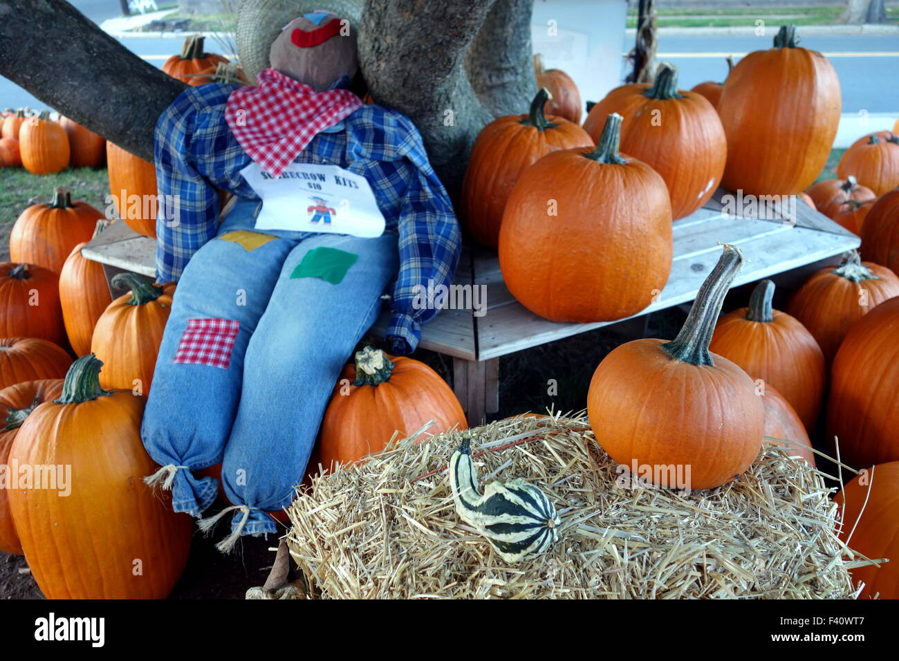 Scarecrow display hi-res stock photography and images - Alamy