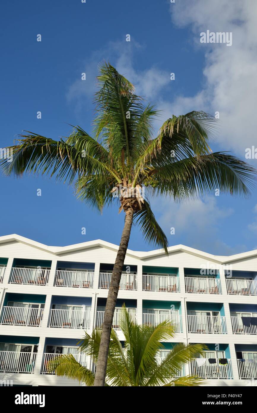 Caribbean hotel with coconut tree Stock Photo - Alamy