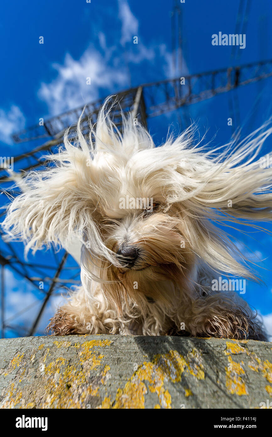 Pure energy hi-res stock photography and images - Alamy