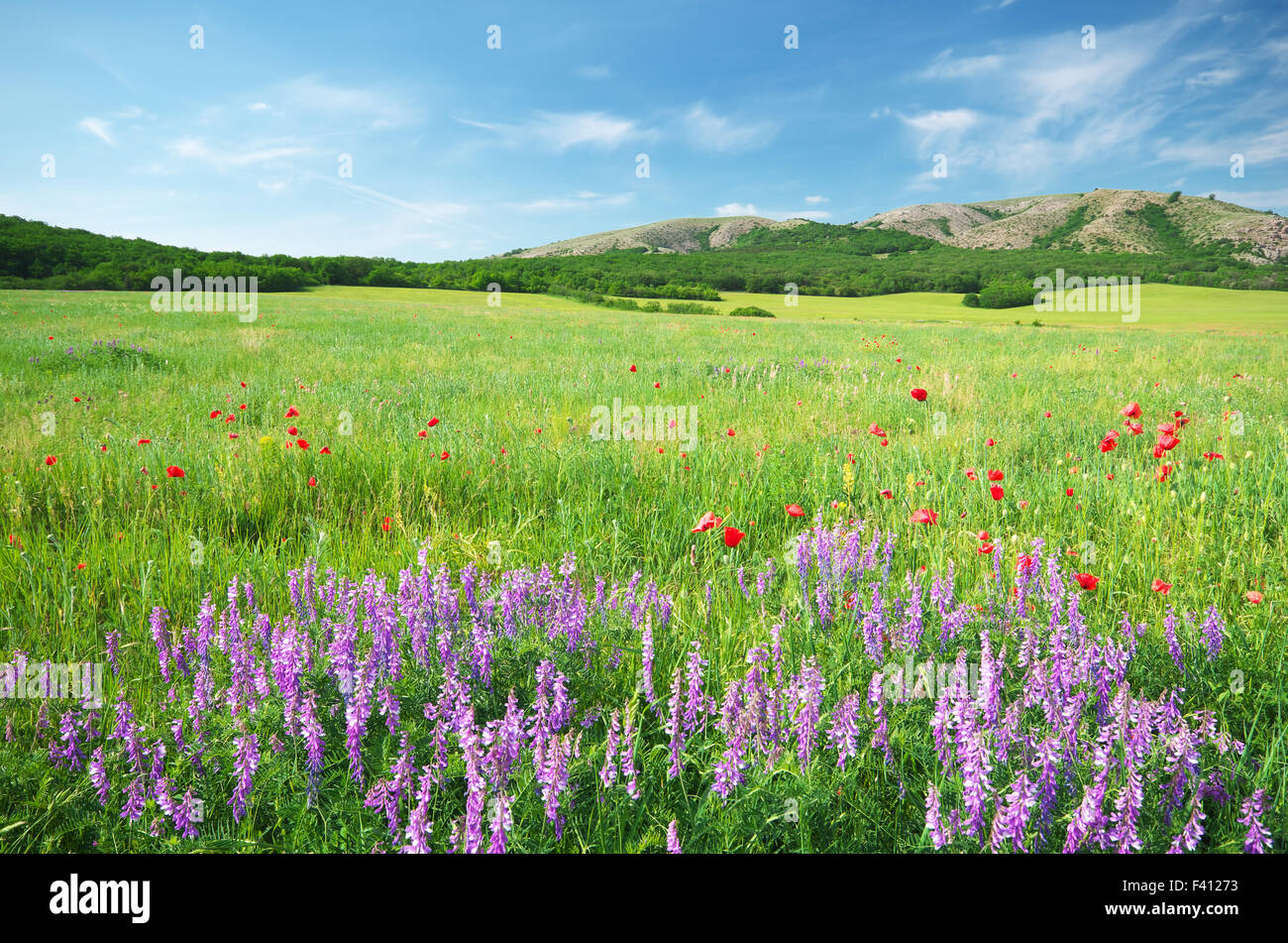 Spring landscapes blue sky hi-res stock photography and images - Alamy
