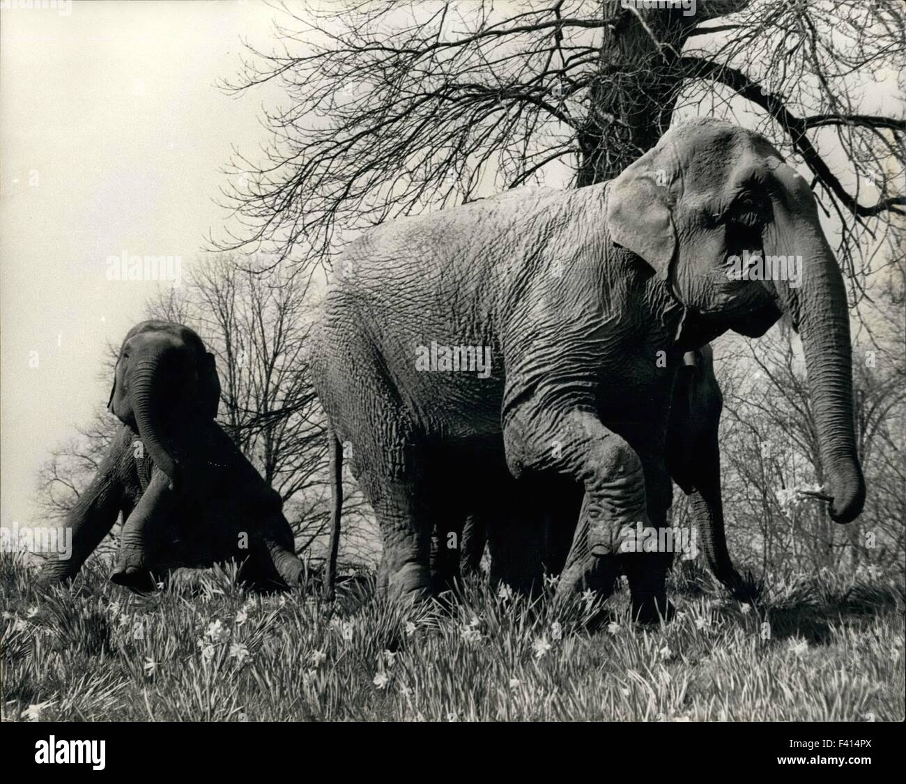 Tiptoe quietly hi-res stock photography and images - Alamy