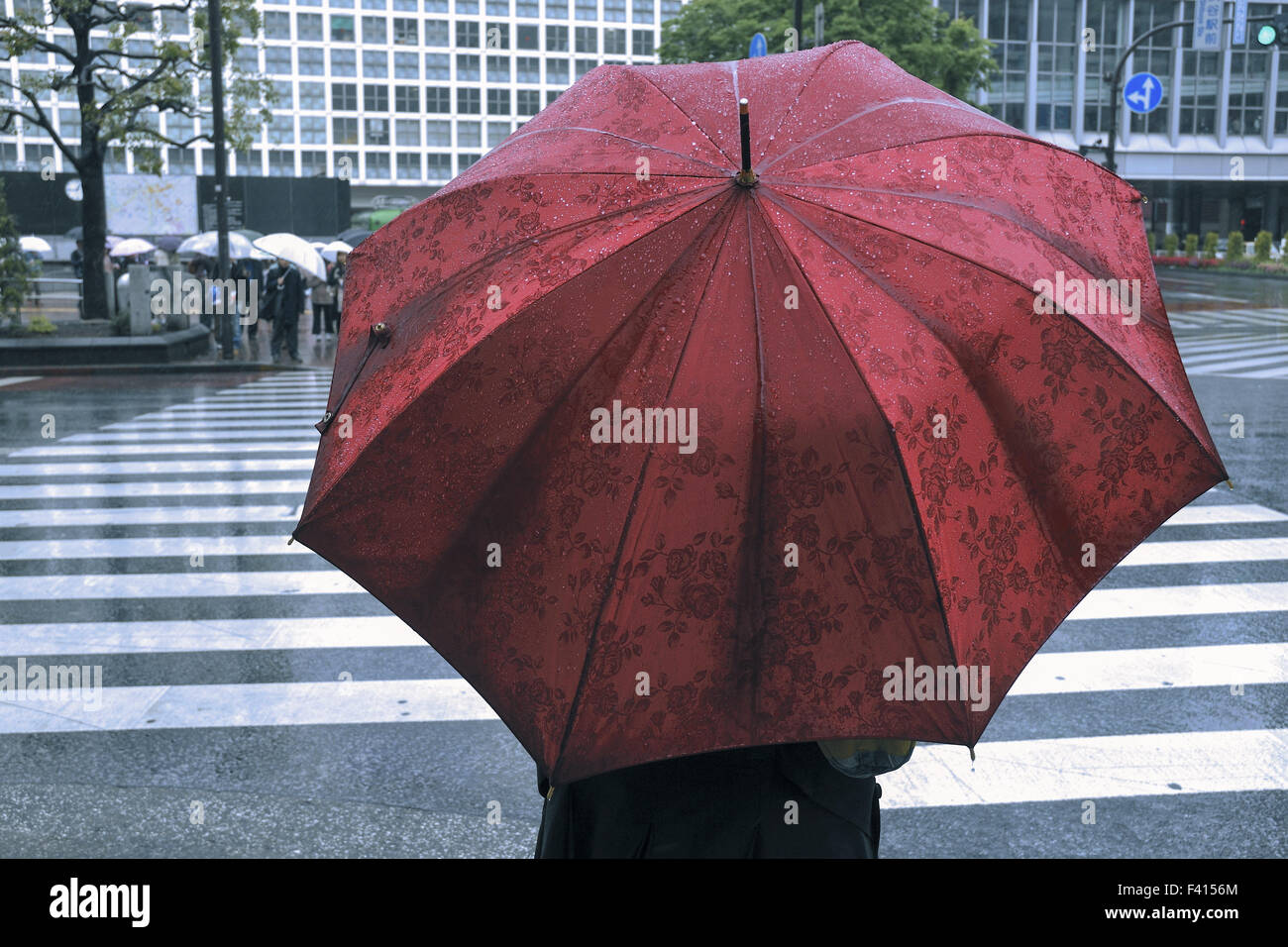 Pedestrian with red umbrella hi-res stock photography and images - Alamy