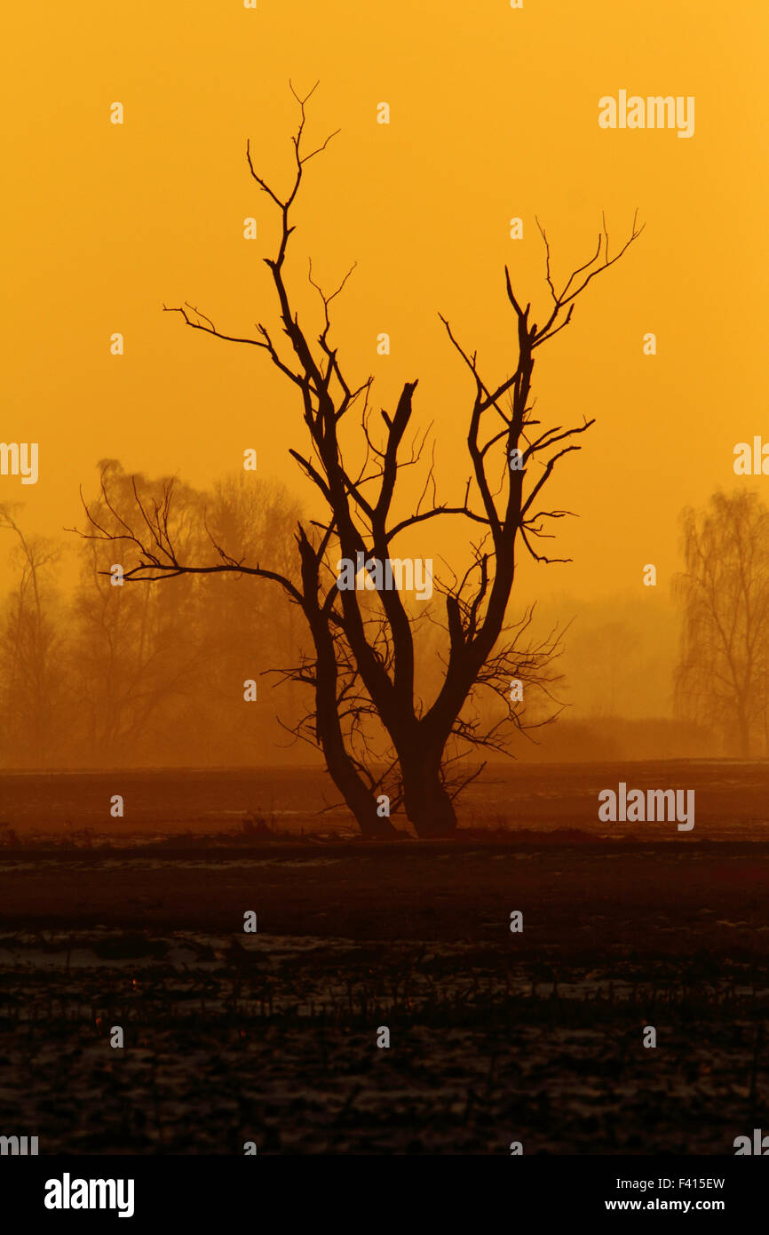 Wintery landscape in bavaria hi-res stock photography and images - Alamy