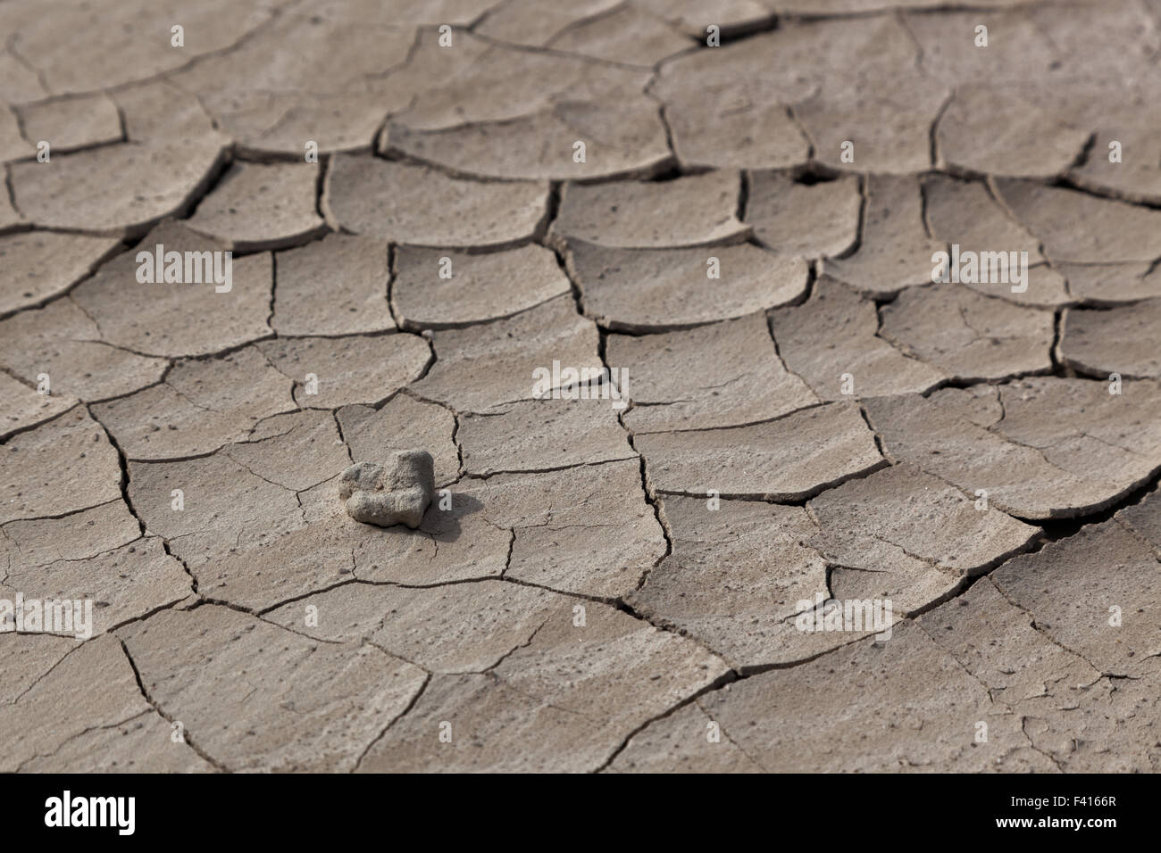 A small pebble sits on an area of dry cracked earth fading in to a ...