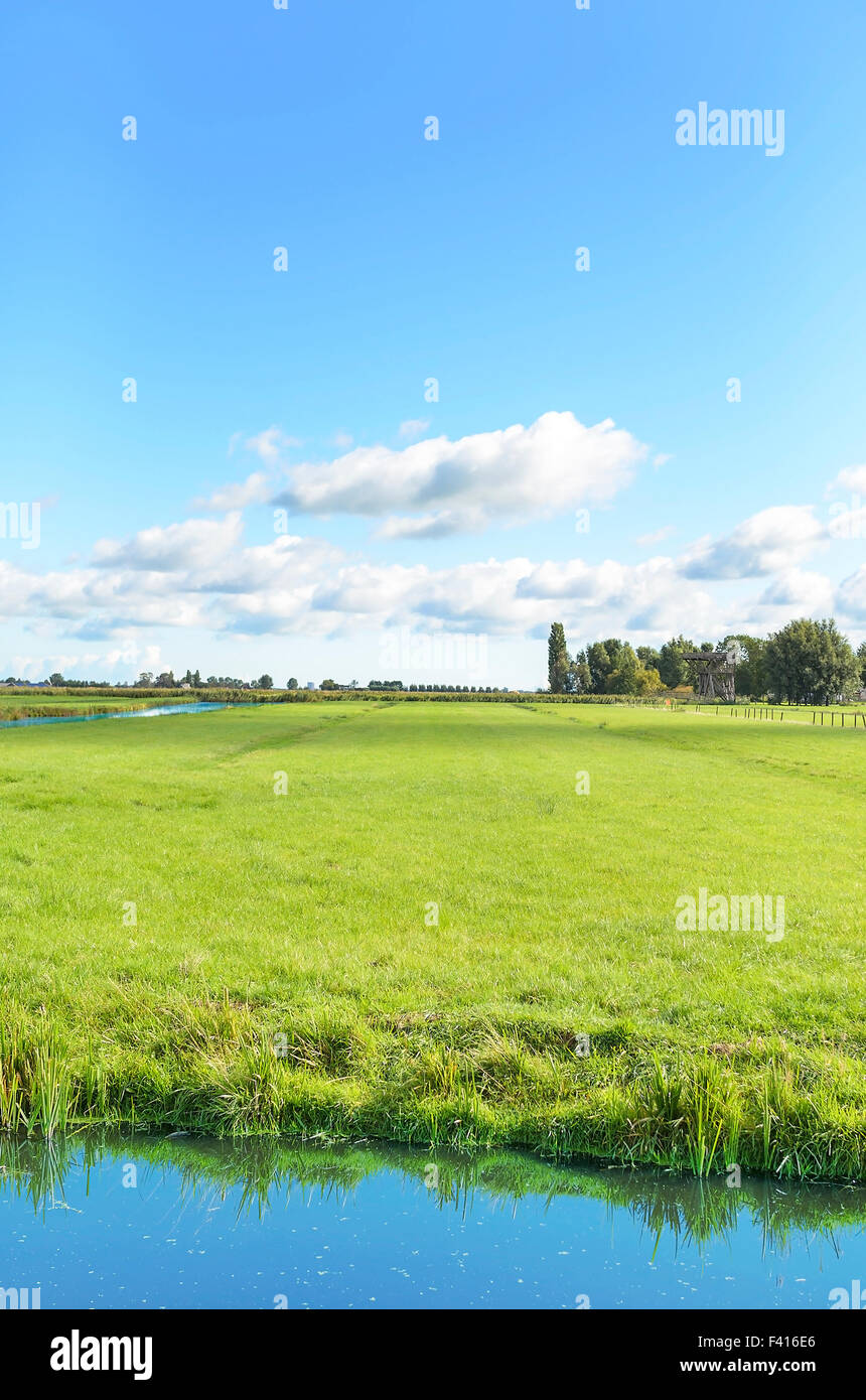 Traditional Dutch a field Stock Photo - Alamy