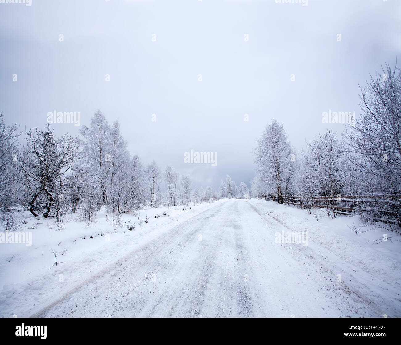 Snowy path in the winter forest Stock Photo - Alamy