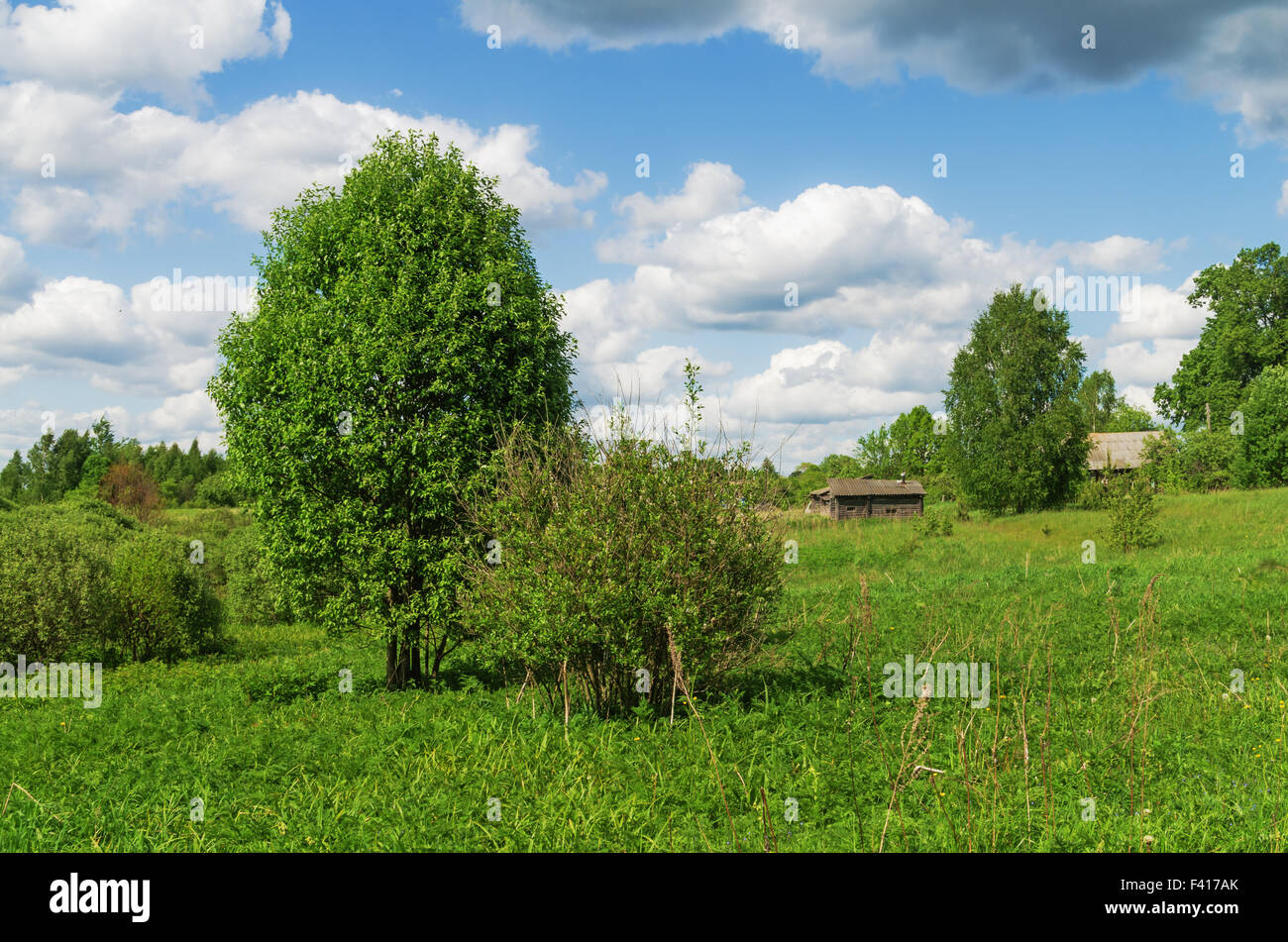 Village spring landscape Stock Photo - Alamy