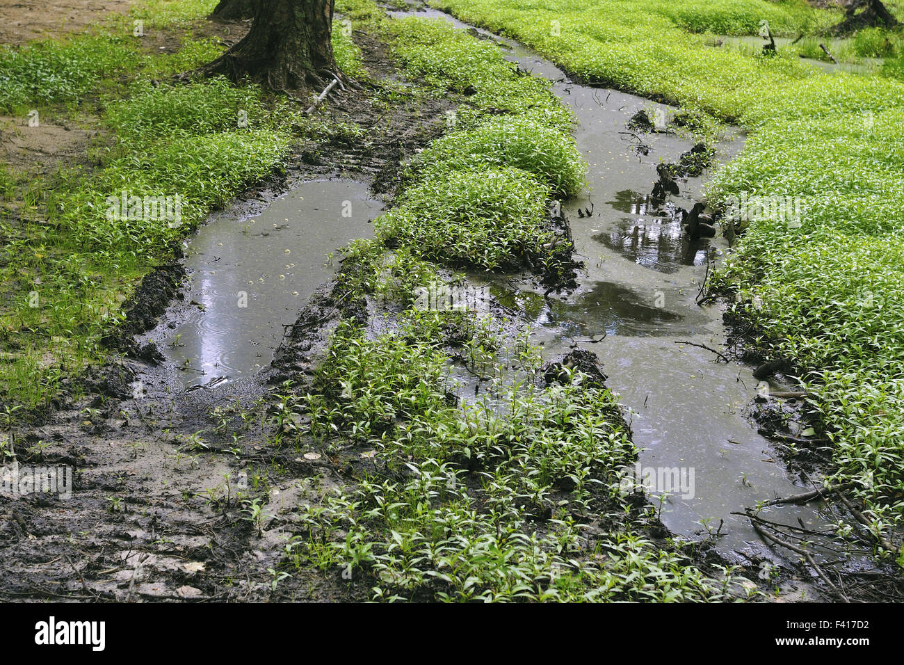 The bog road hi-res stock photography and images - Alamy
